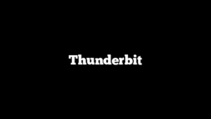 ⋙ Thunderbit: Price, Pros & Cons, Alternatives, App Reviews